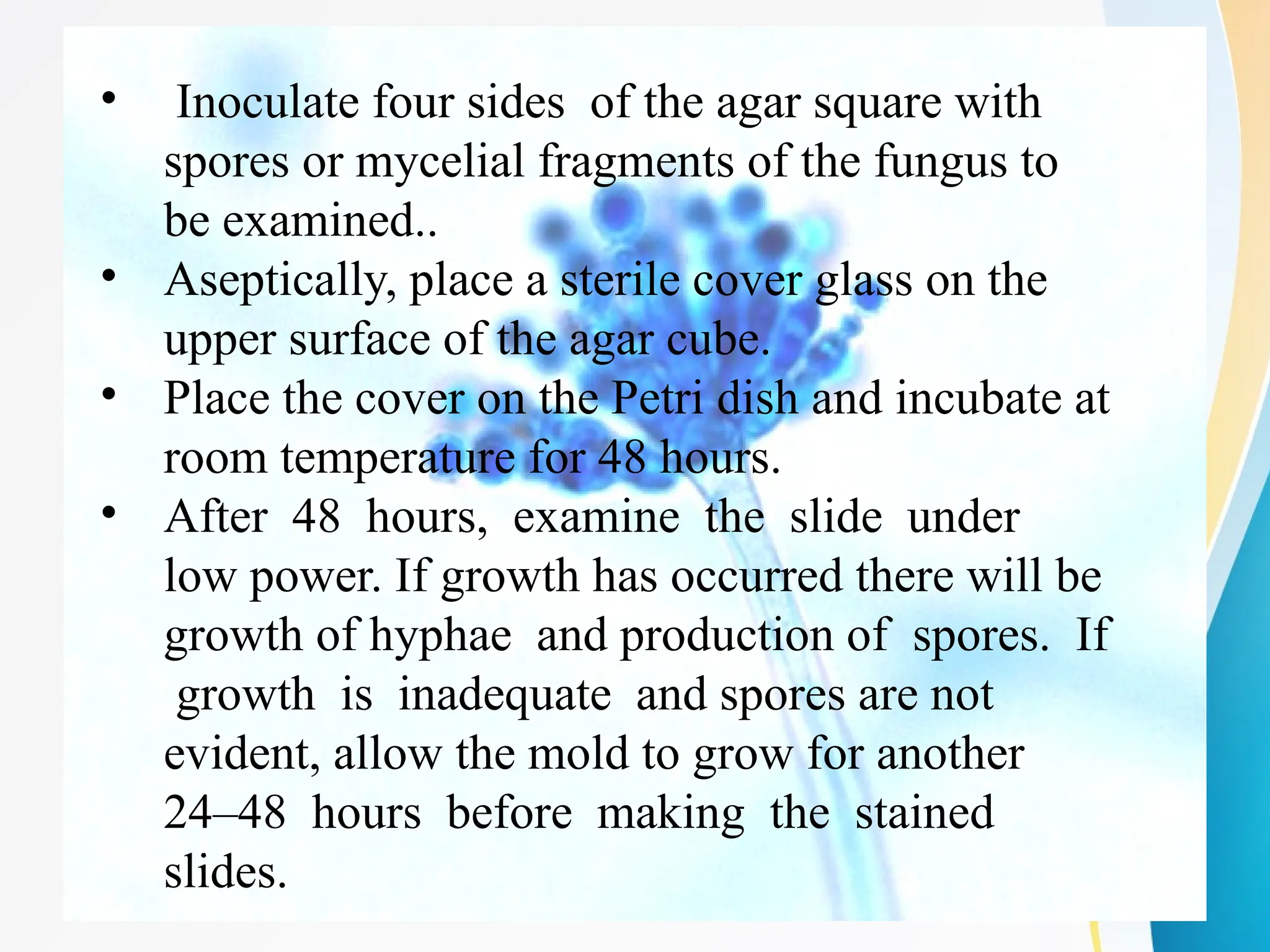 Microscopic Examination of fungi notes for microbiology students.pptx