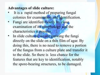 Microscopic Examination of fungi notes for microbiology students.pptx