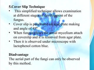 Microscopic Examination of fungi notes for microbiology students.pptx