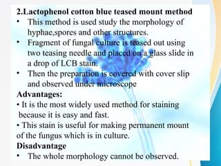 Microscopic Examination of fungi notes for microbiology students.pptx