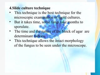 Microscopic Examination of fungi notes for microbiology students.pptx