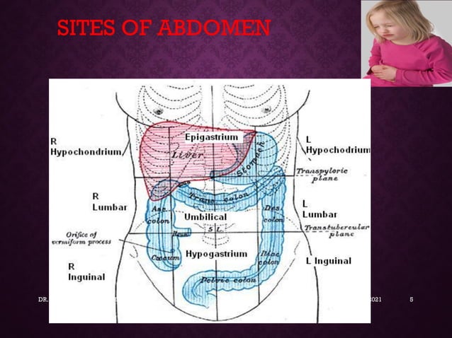 Examination of Pediatric Gastrointestinal tract | PDF | Digestive ...