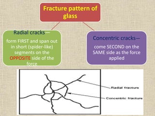 Examination of glass | PPTX