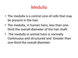 Examination of Hair.pptx