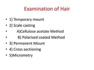 Examination of Hair.pptx