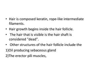 Examination of Hair.pptx