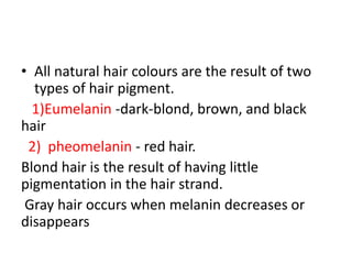 Examination of Hair.pptx