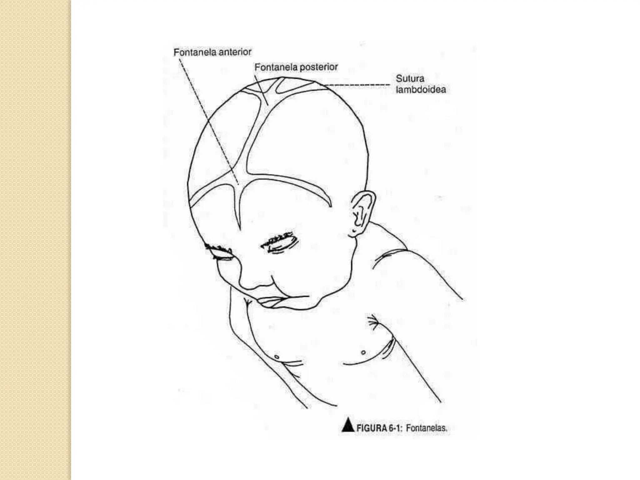 Examination of head and neck.pptx medical | PPTX