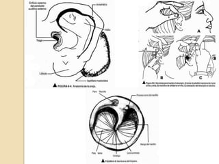 Examination of head and neck.pptx medical | PPTX
