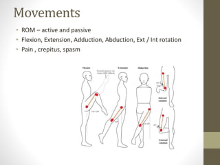 examination of hip .pptx