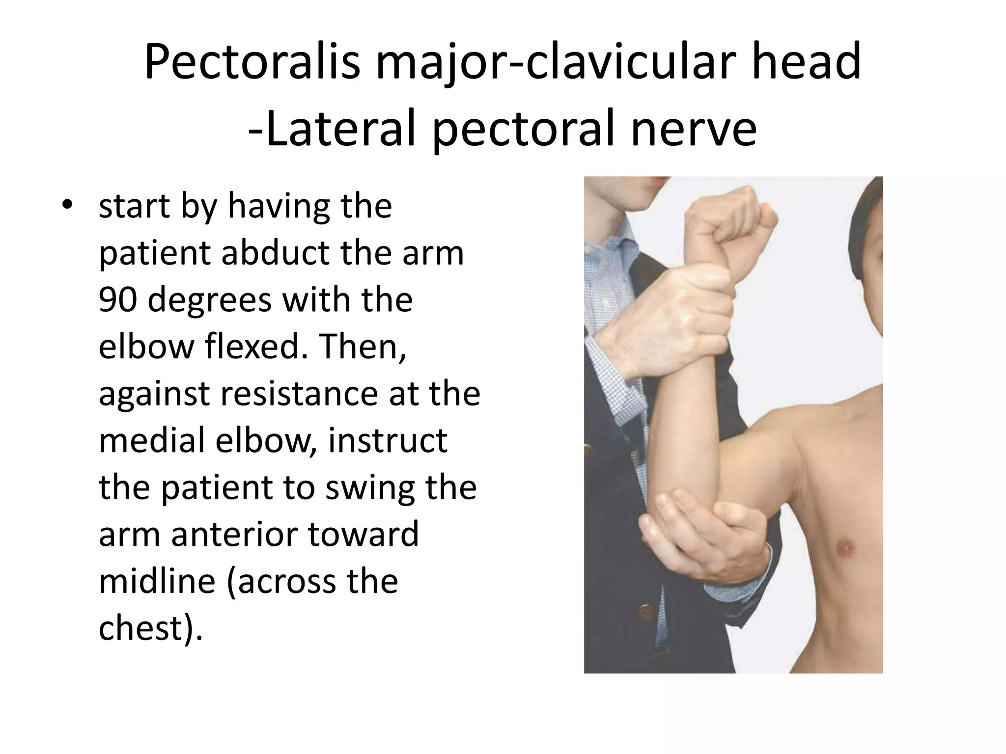 Examination of individual muscles and nerves of upper limb | PPTX