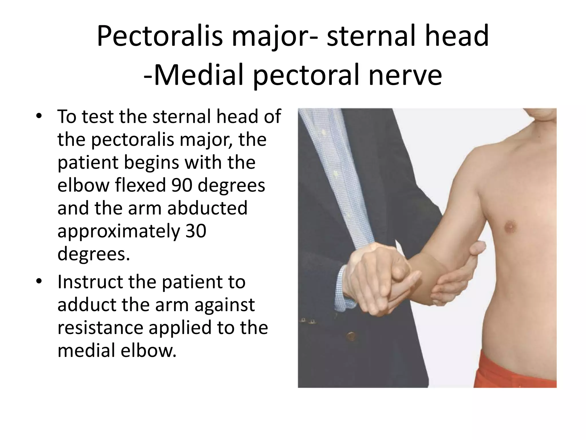 Examination of individual muscles and nerves of upper limb | PPTX