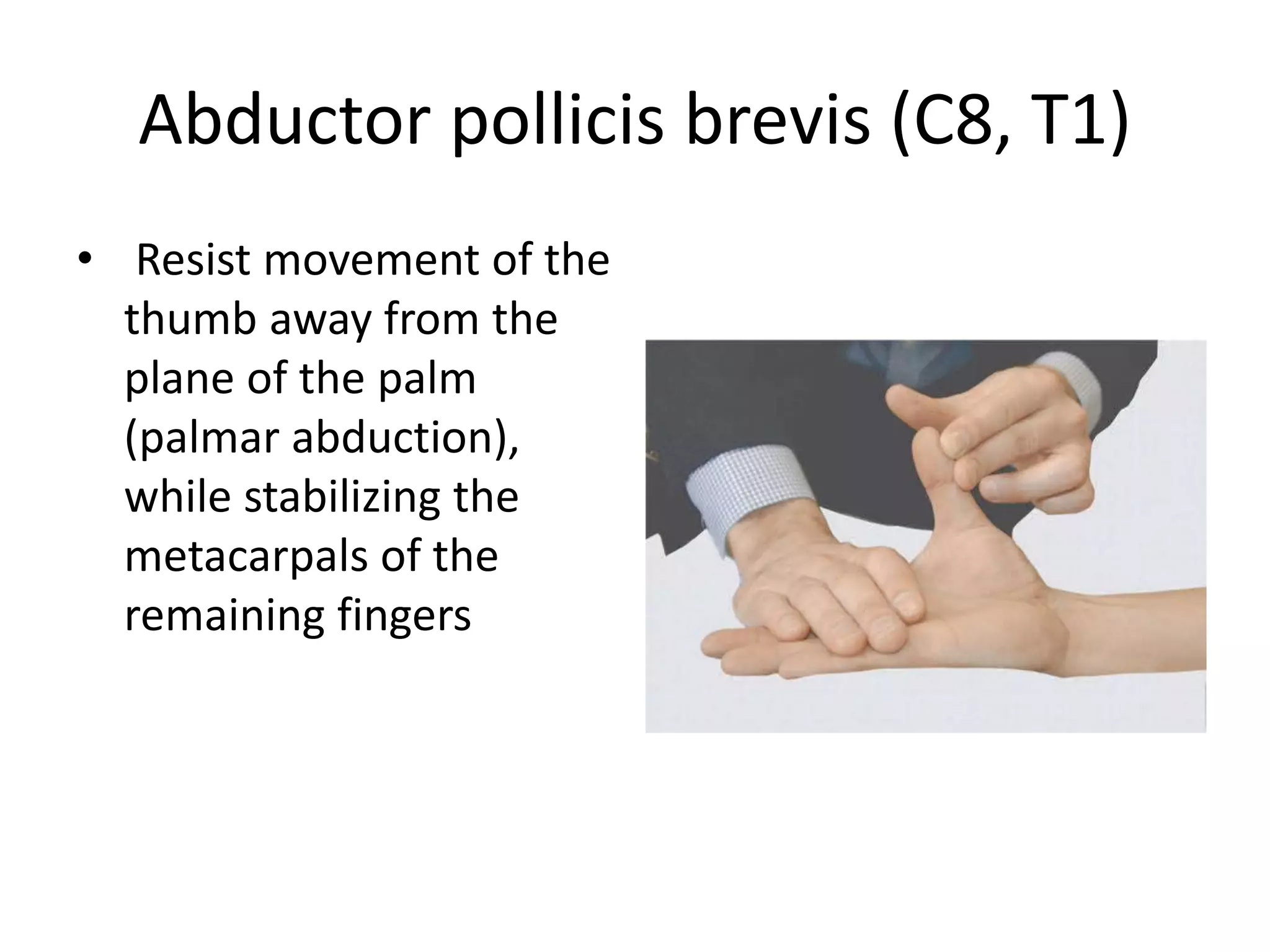 Examination of individual muscles and nerves of upper limb | PPTX