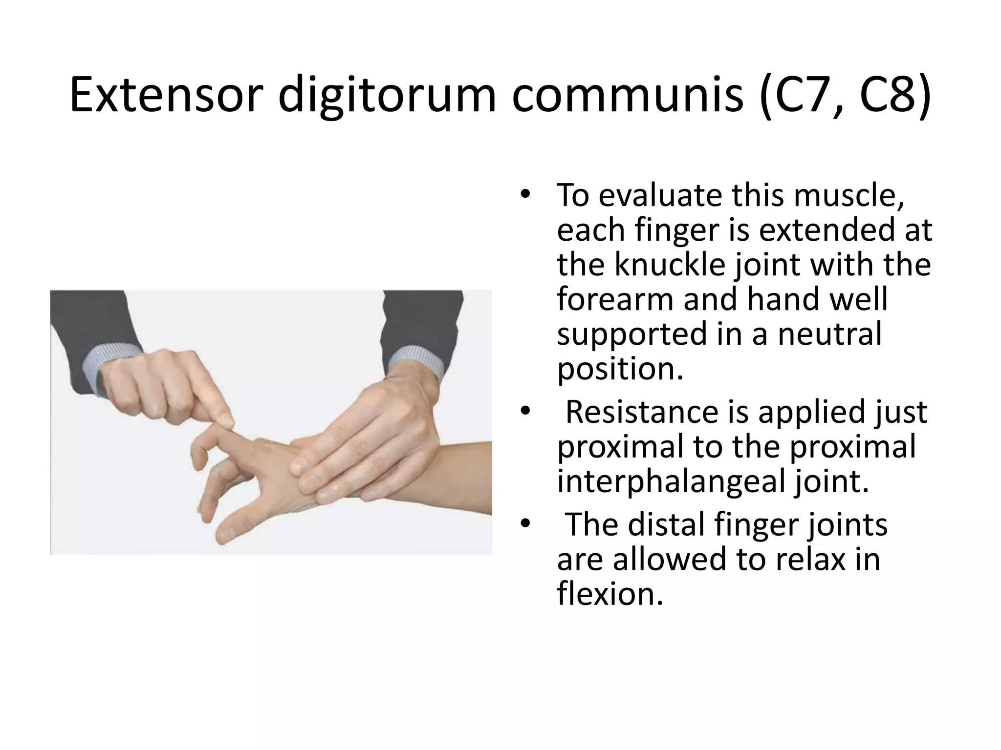 Examination of individual muscles and nerves of upper limb | PPTX