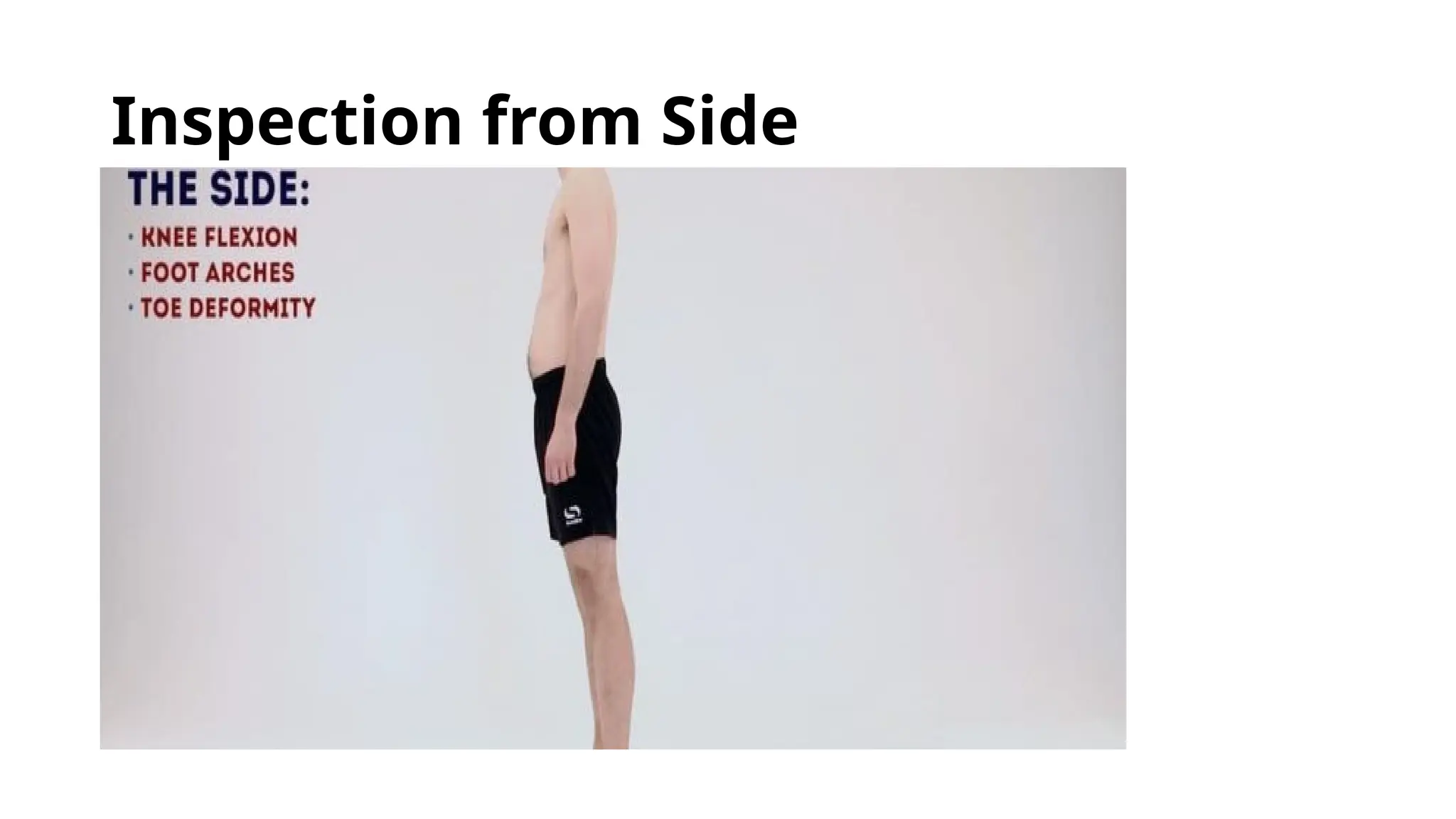 examination of knee joint for functionality.pptx