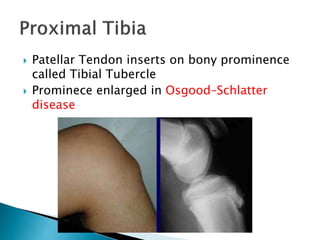 Examination of knee psmc | PPTX