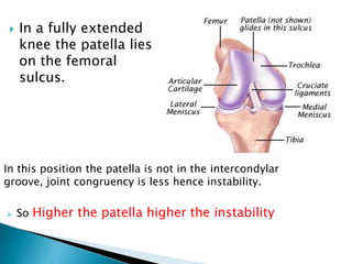 Examination of knee psmc | PPTX