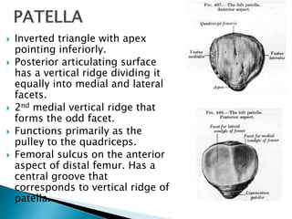 Examination of knee psmc | PPTX