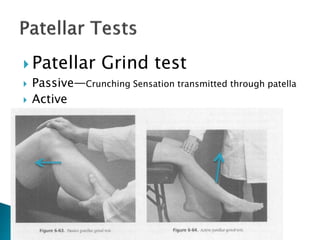 Patellar Grind Test