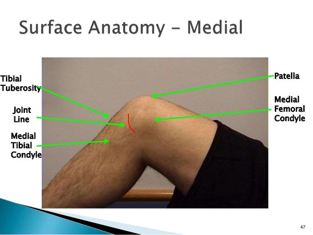 Examination of knee psmc