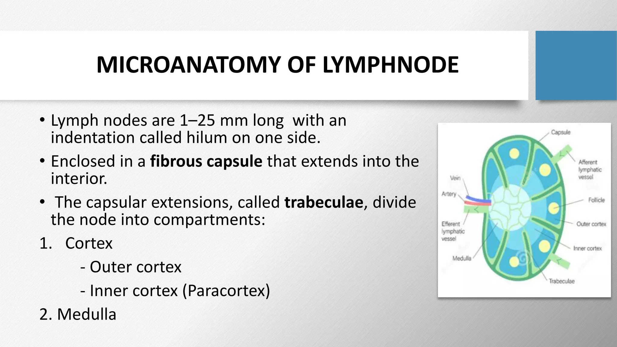 Examination of lymphnode | PPTX