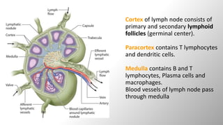 Examination of lymphnode | PPTX