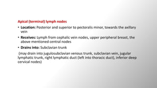 Examination of lymphnode | PPTX