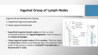 Examination of lymphnode | PPTX