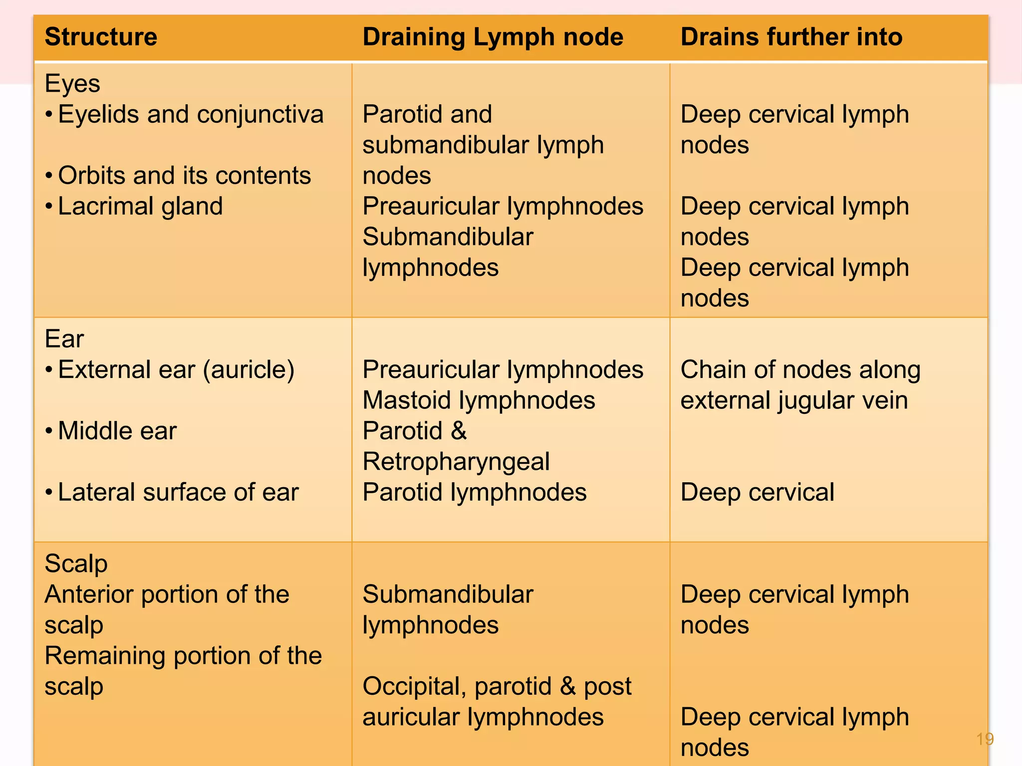 EXAMINATION OF LYMPH NODE..pptx