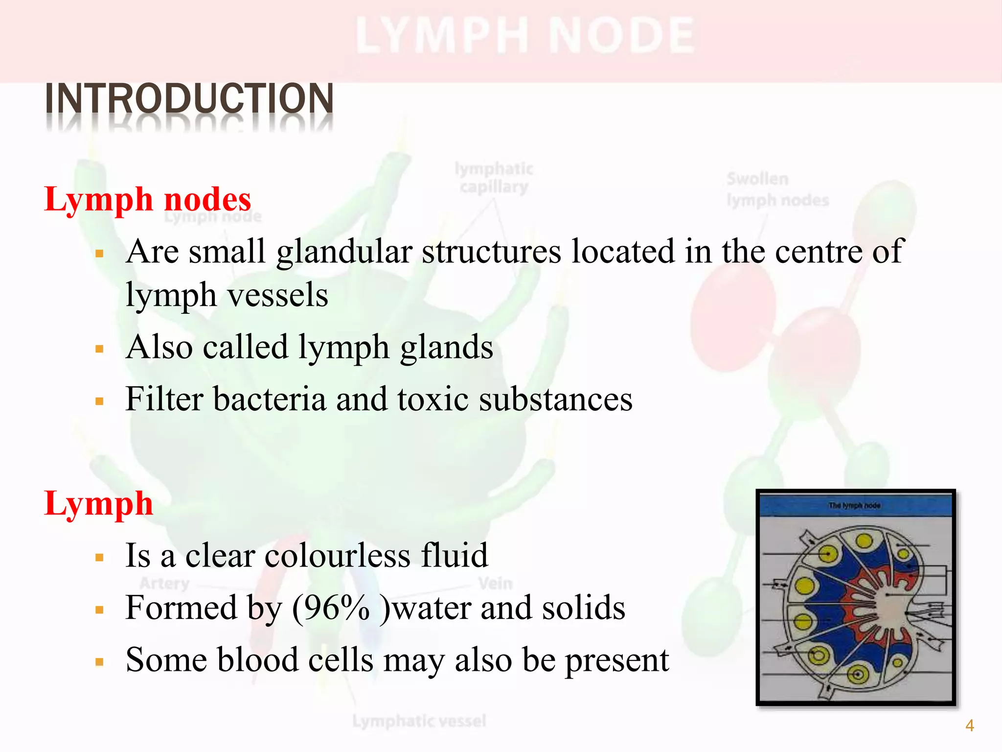 EXAMINATION OF LYMPH NODE..pptx