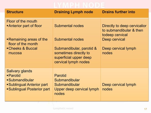 EXAMINATION OF LYMPH NODE..pptx