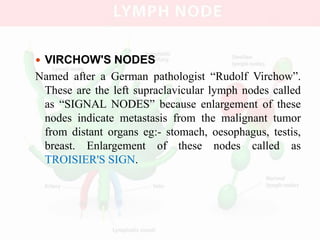 EXAMINATION OF LYMPH NODE..pptx