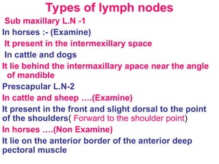 Examination of Lymph nodes in detail.ppt