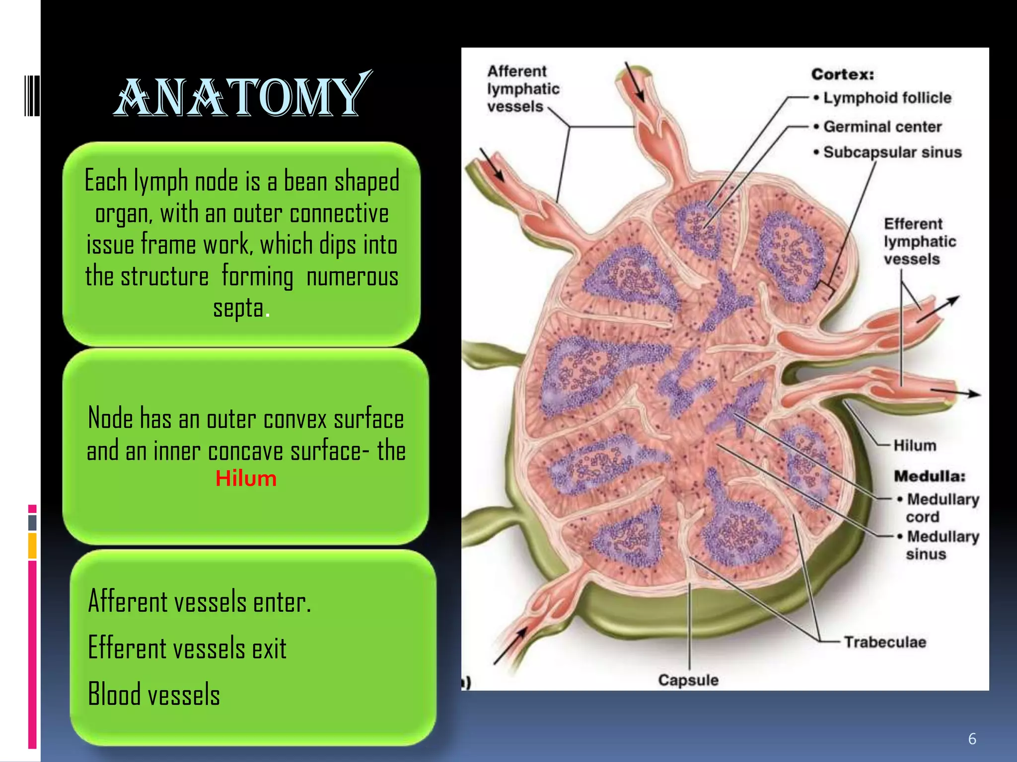 Examination of lymphnodes and cervicofacial lymphadenopathy | PPTX