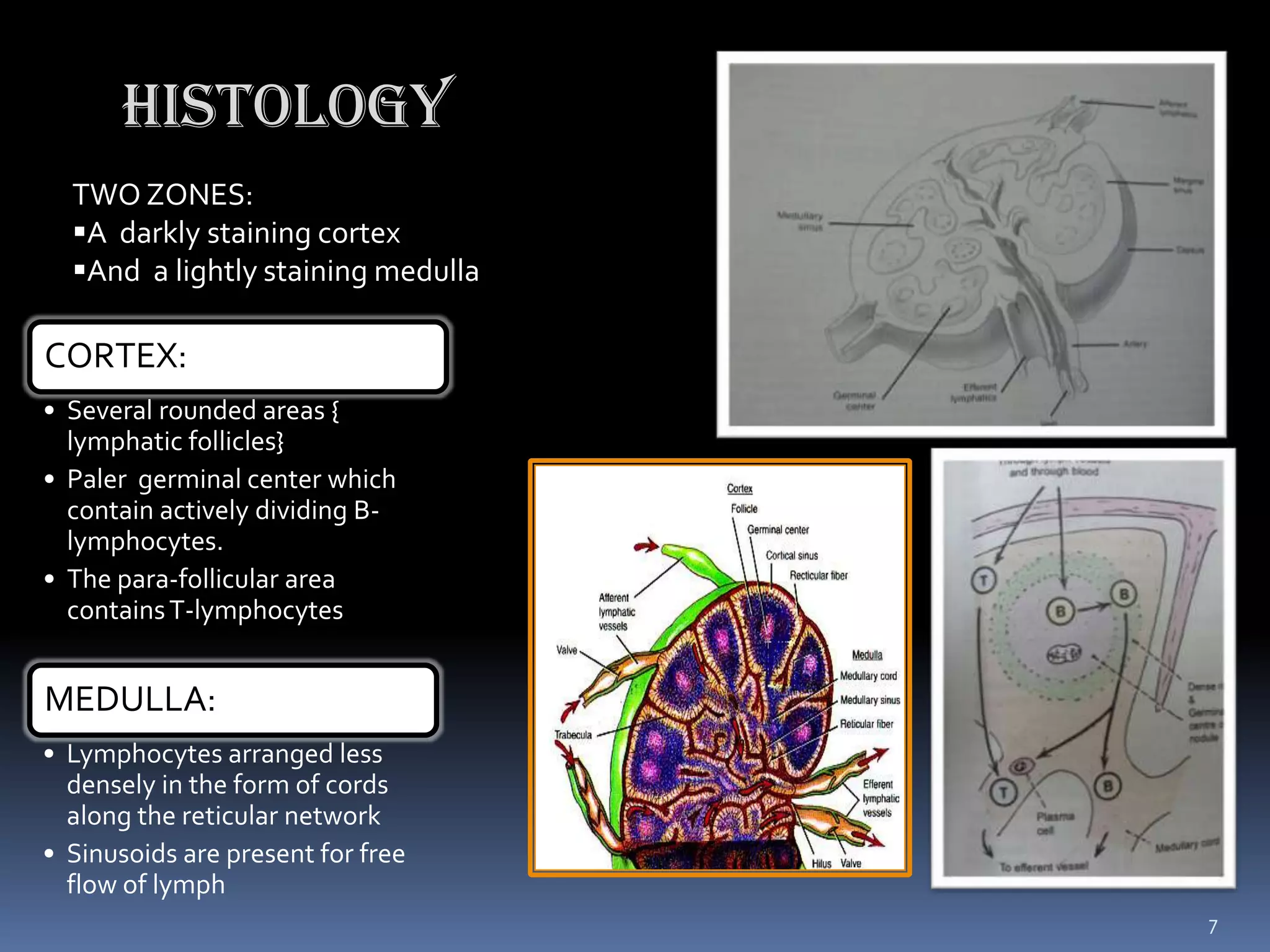 Examination of lymphnodes and cervicofacial lymphadenopathy | PPTX