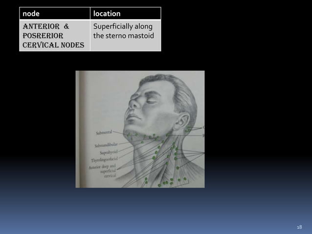 Examination of lymphnodes and cervicofacial lymphadenopathy | PPTX