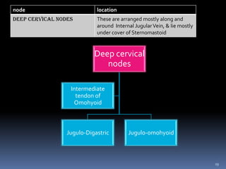 Examination of lymphnodes and cervicofacial lymphadenopathy | PPTX