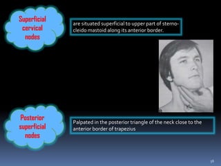 Examination of lymphnodes and cervicofacial lymphadenopathy | PPTX