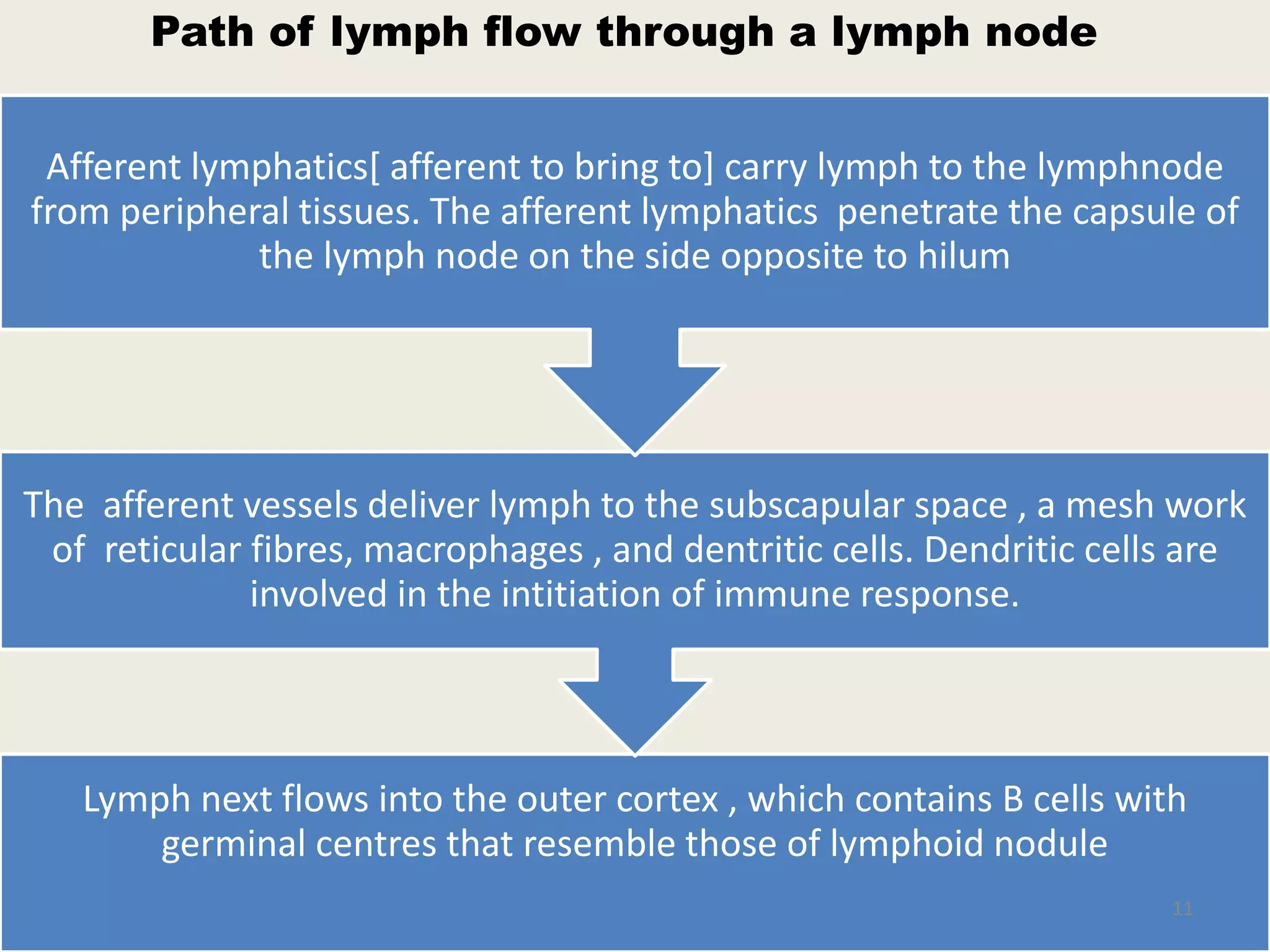 Examination of lymph nodes of head and neck | PPTX