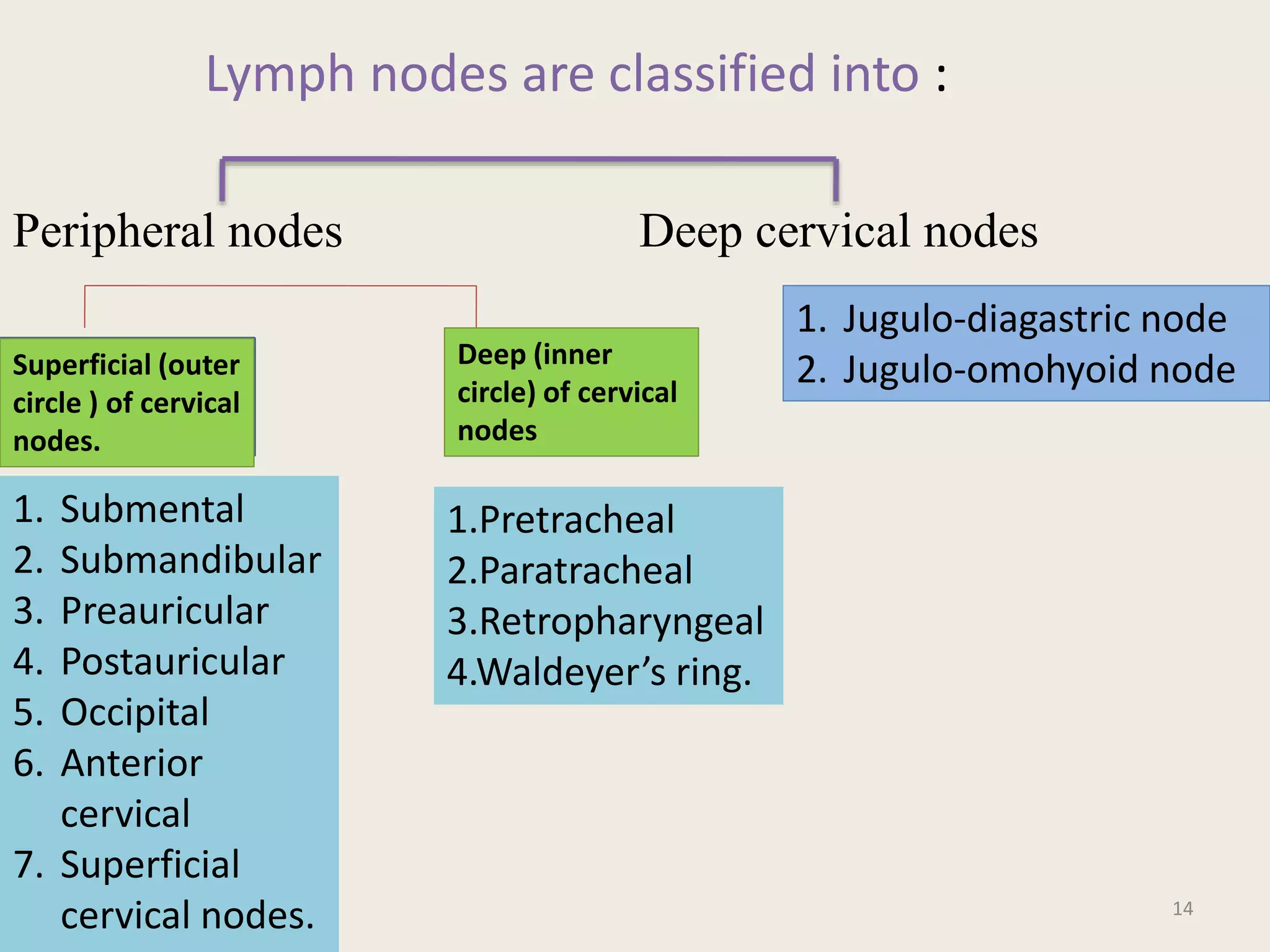 Examination of lymph nodes of head and neck | PPTX