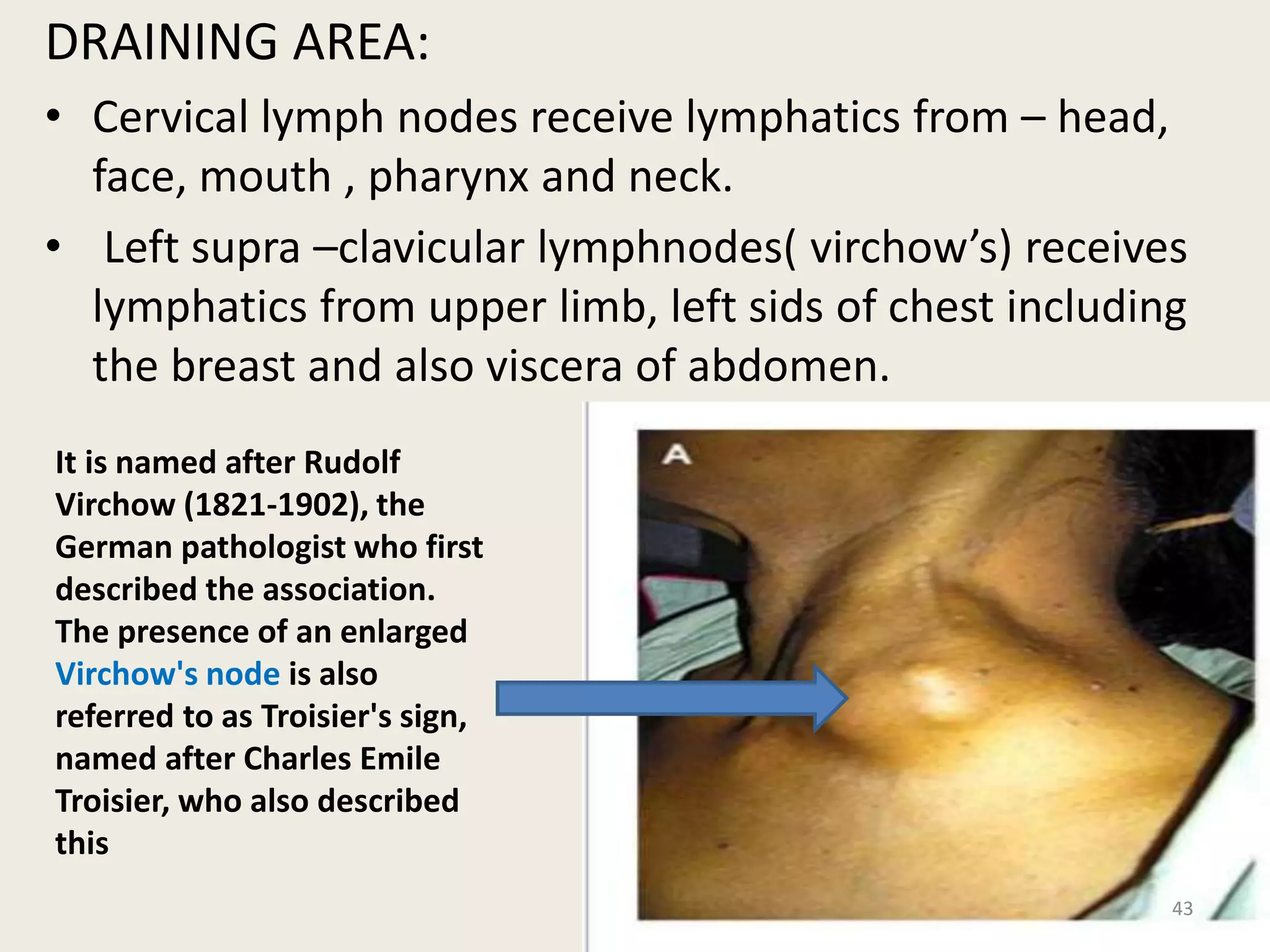 Examination of lymph nodes of head and neck | PPTX
