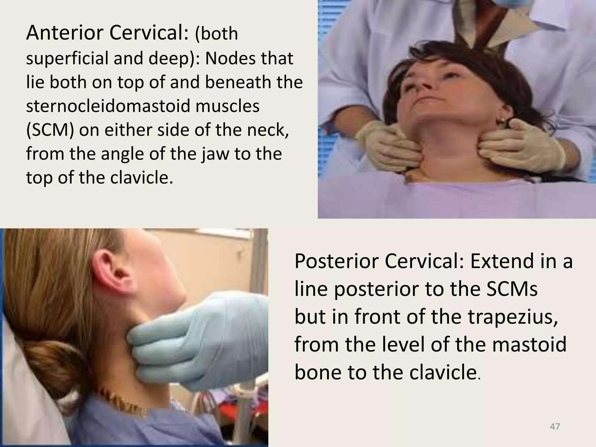Examination of lymph nodes of head and neck | PPTX
