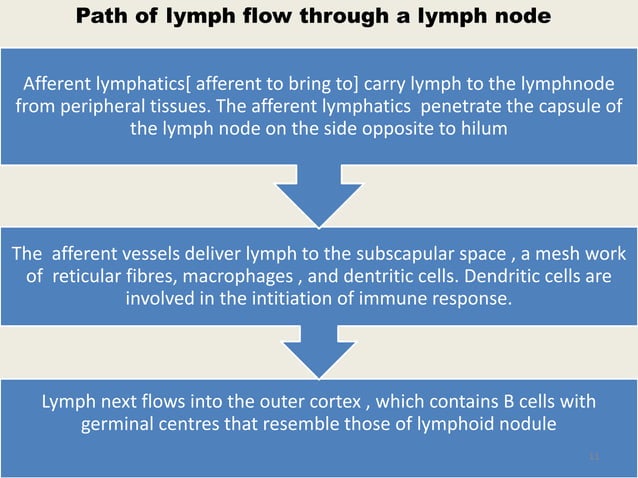 Examination of lymph nodes of head and neck | PPTX