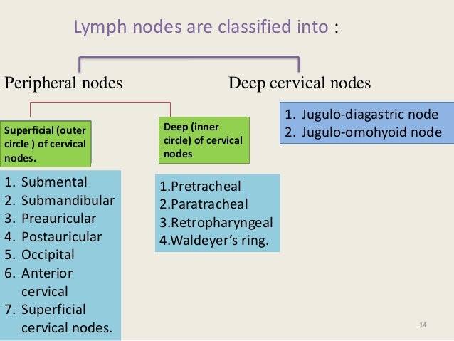 Examination of lymph nodes of head and neck