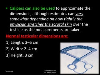 EXAMINATION OF MALE IN INFERTILITY - WHAT NOT TO MISS BY DR SHASHWAT ...