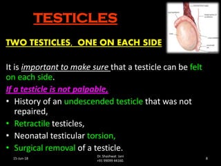 EXAMINATION OF MALE IN INFERTILITY - WHAT NOT TO MISS BY DR SHASHWAT ...