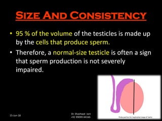 EXAMINATION OF MALE IN INFERTILITY - WHAT NOT TO MISS BY DR SHASHWAT ...