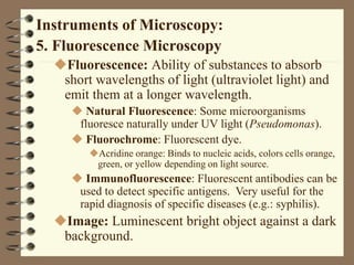 examination of microoranisms using microscope.ppt