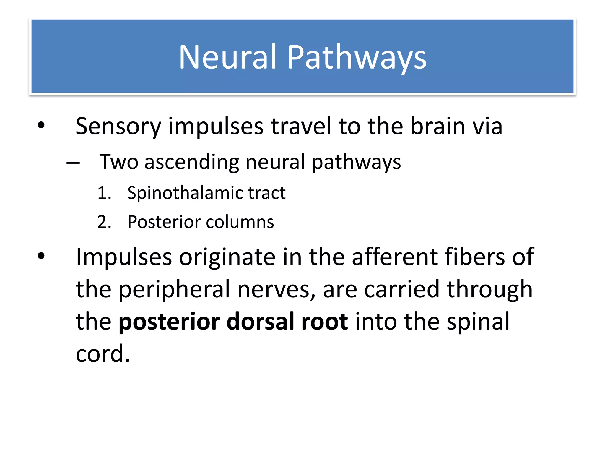 Examination of motor system | PPTX