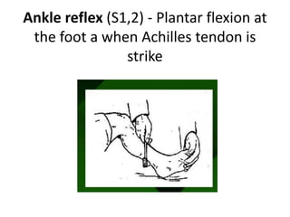 Examination of motor system | PPTX